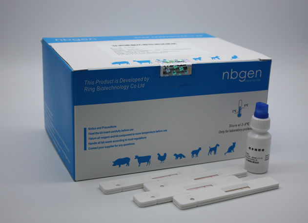 African Swine Fever Virus antigen ASFV Ag Rapid Test Kit | RINGBIO