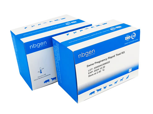 Pig Pregnancy Rapid Test Kit Takes Center Stage at AVIANA Expo | RINGBIO