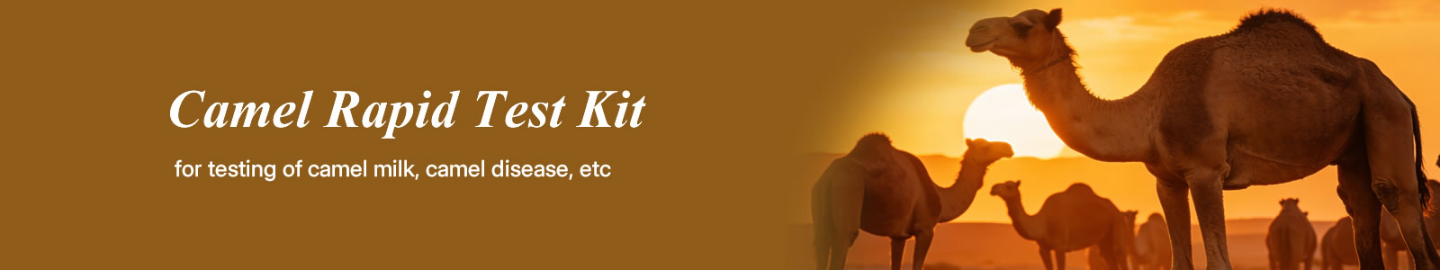 Aflatoxin M1 Rapid Test kit for camel milk