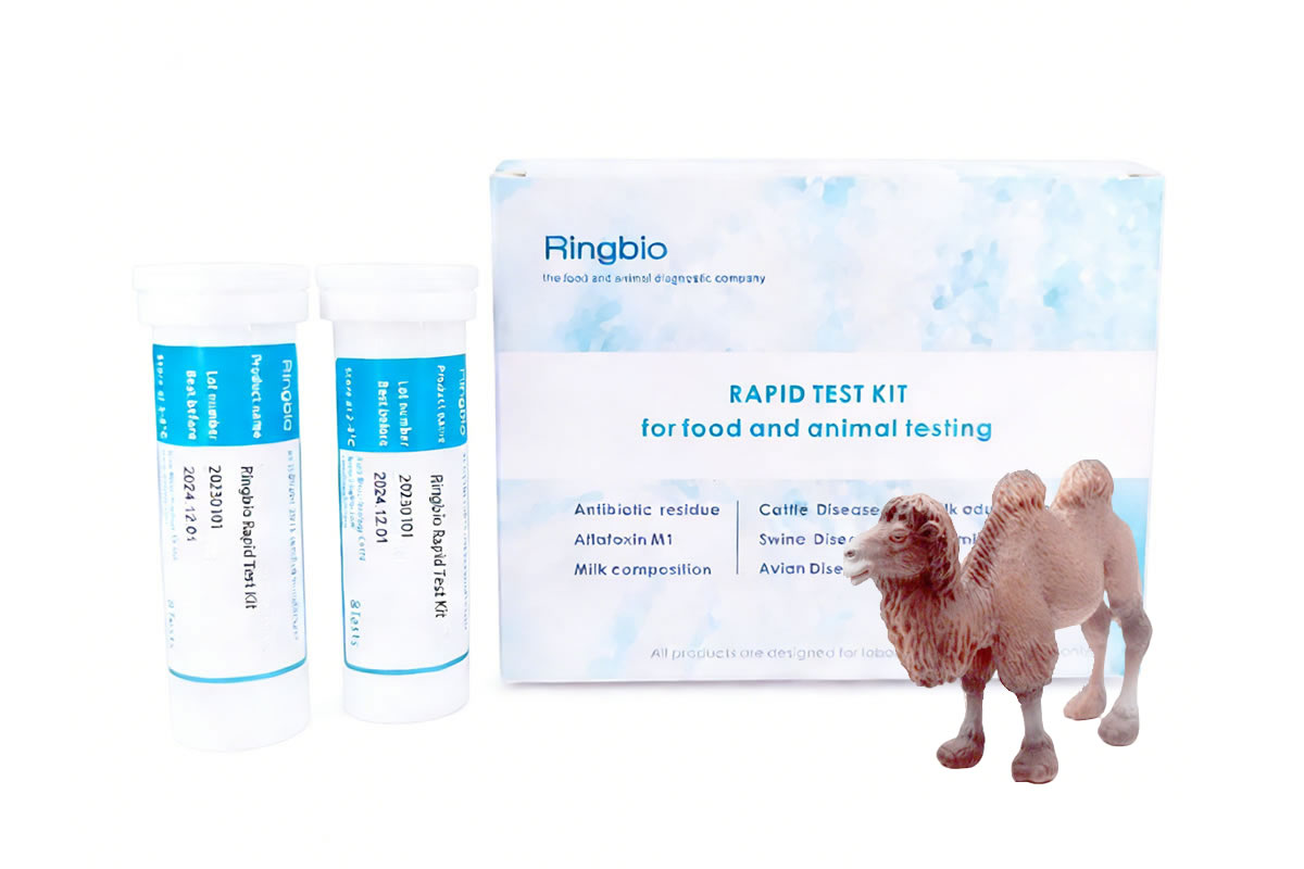 Chloramphenicol Rapid Test Kit for camel milk