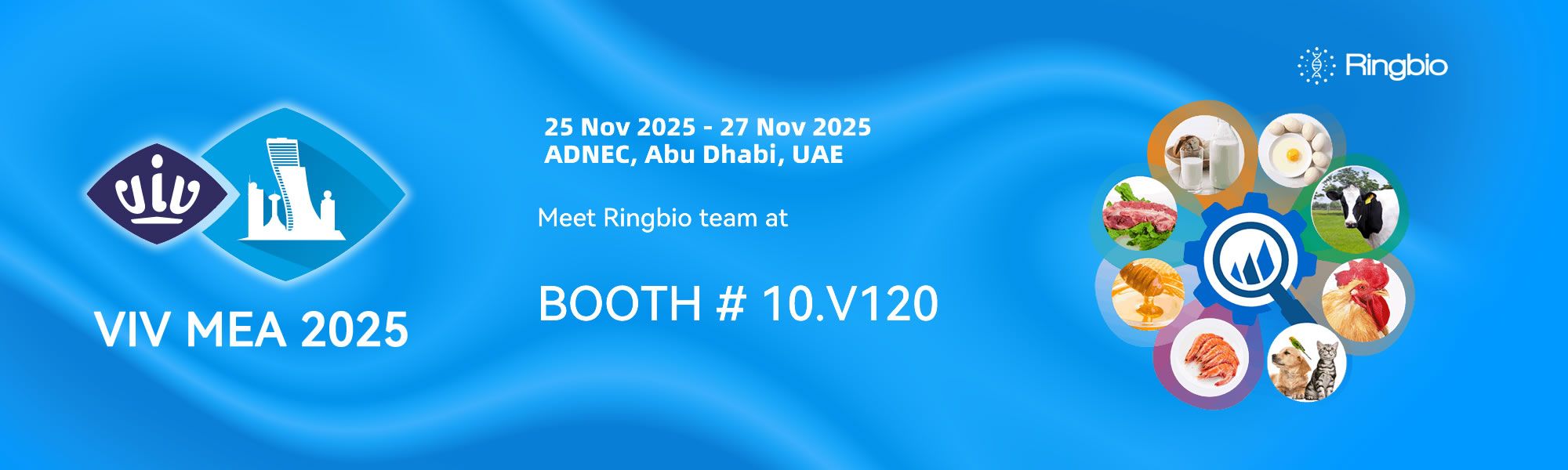 Ringbio's 11th Anniversary Celebration