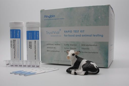 Beta-Lactamase Rapid Test kit | RINGBIO